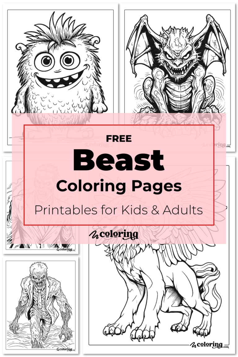 Collections • colorinq