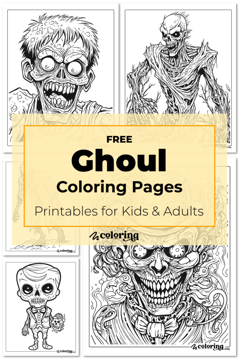 Collections • colorinq