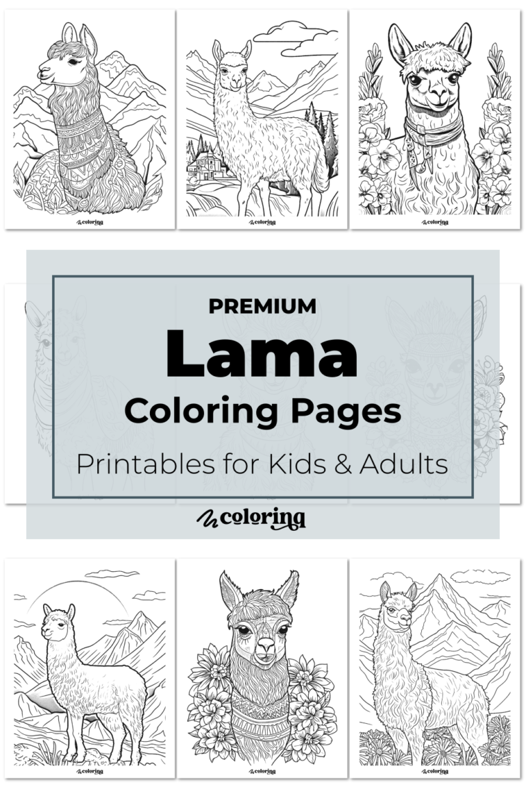 Collections • colorinq