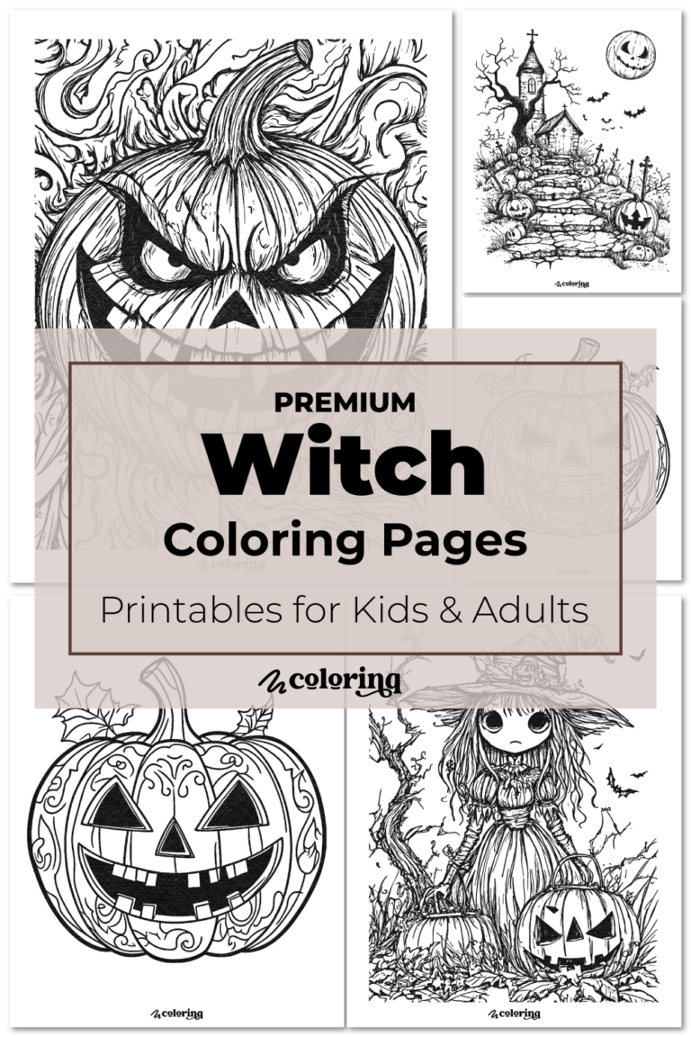 Collections • colorinq