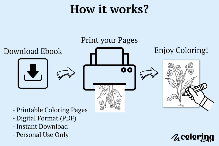 🌸 Early Bloomers Coloring Book: 21 Premium Coloring Pages