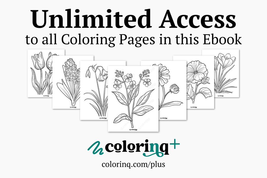 🌸 Early Bloomers Coloring Book: 21 Premium Coloring Pages