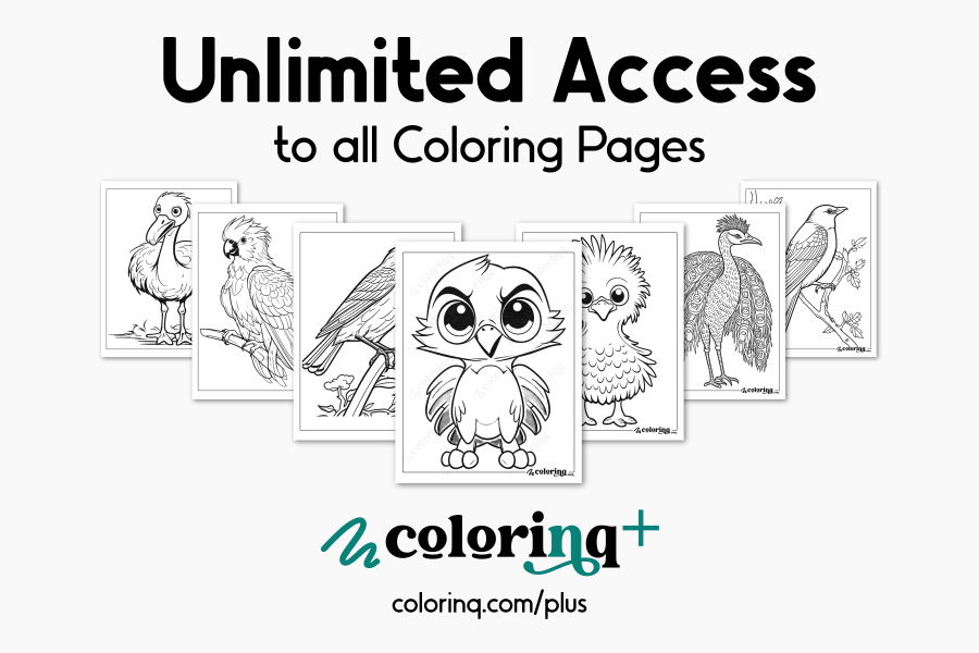 🎨 Cute Falcon Free Coloring Page