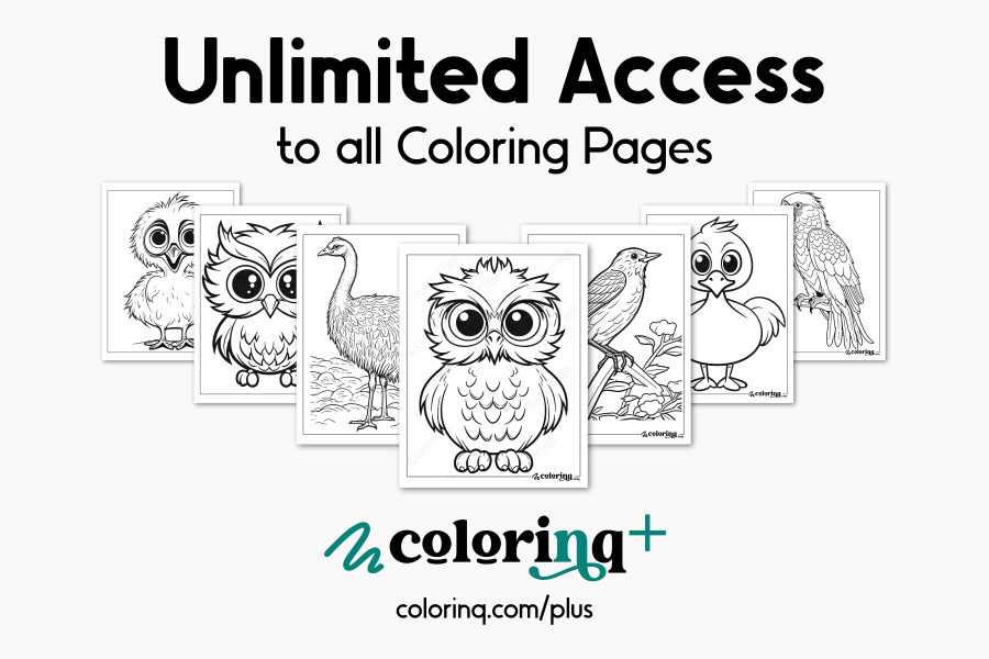 🎨 Cute Hawk Coloring Page: Free Printable for Kids