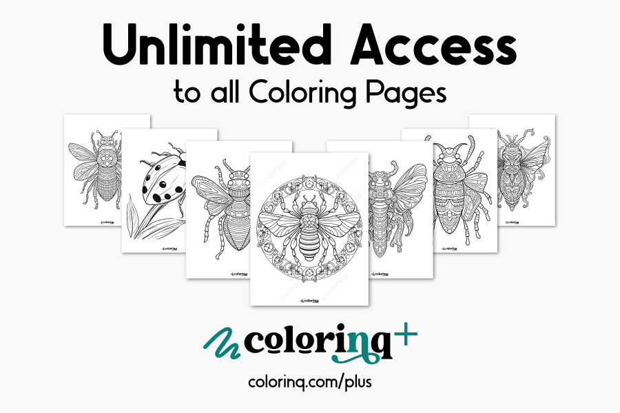 🦋 Mandala Insects Premium Coloring Page